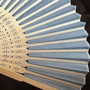 Party Supplies | Light Blue Fans | Poshmark